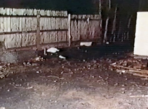 Crime Scene Oct. 30 1982